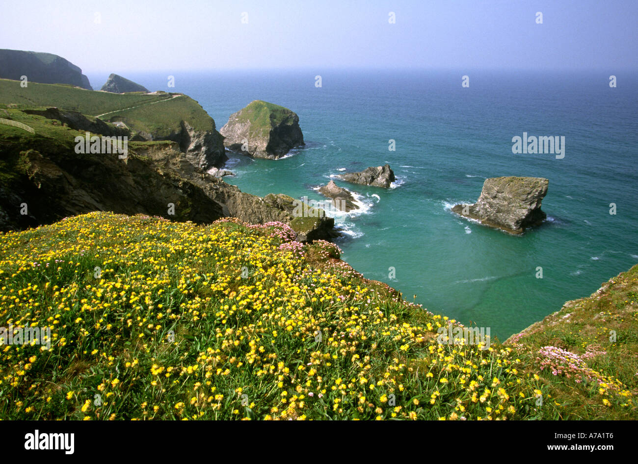 Coastal road western cornwall hi-res stock photography and images - Alamy