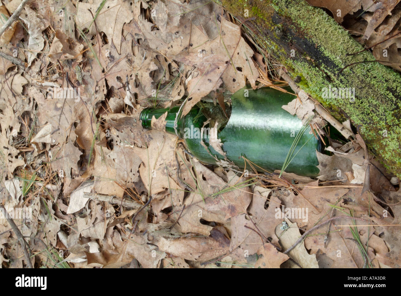 Litter dumped near a hiking trail Stock Photo - Alamy