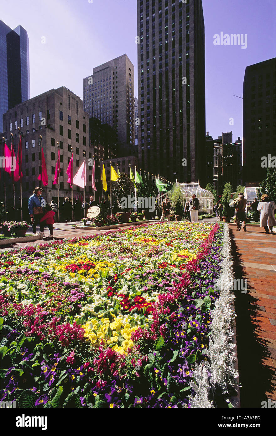 Flower Show Rockefeller Center Manhattan New York Stock Photo - Alamy