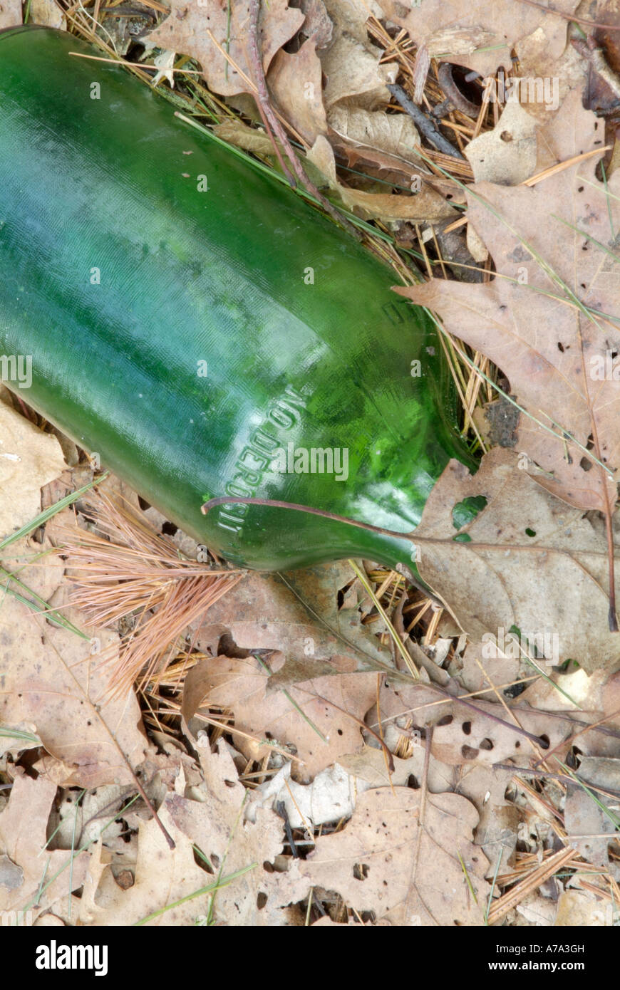 Litter dumped near a hiking trail Stock Photo - Alamy