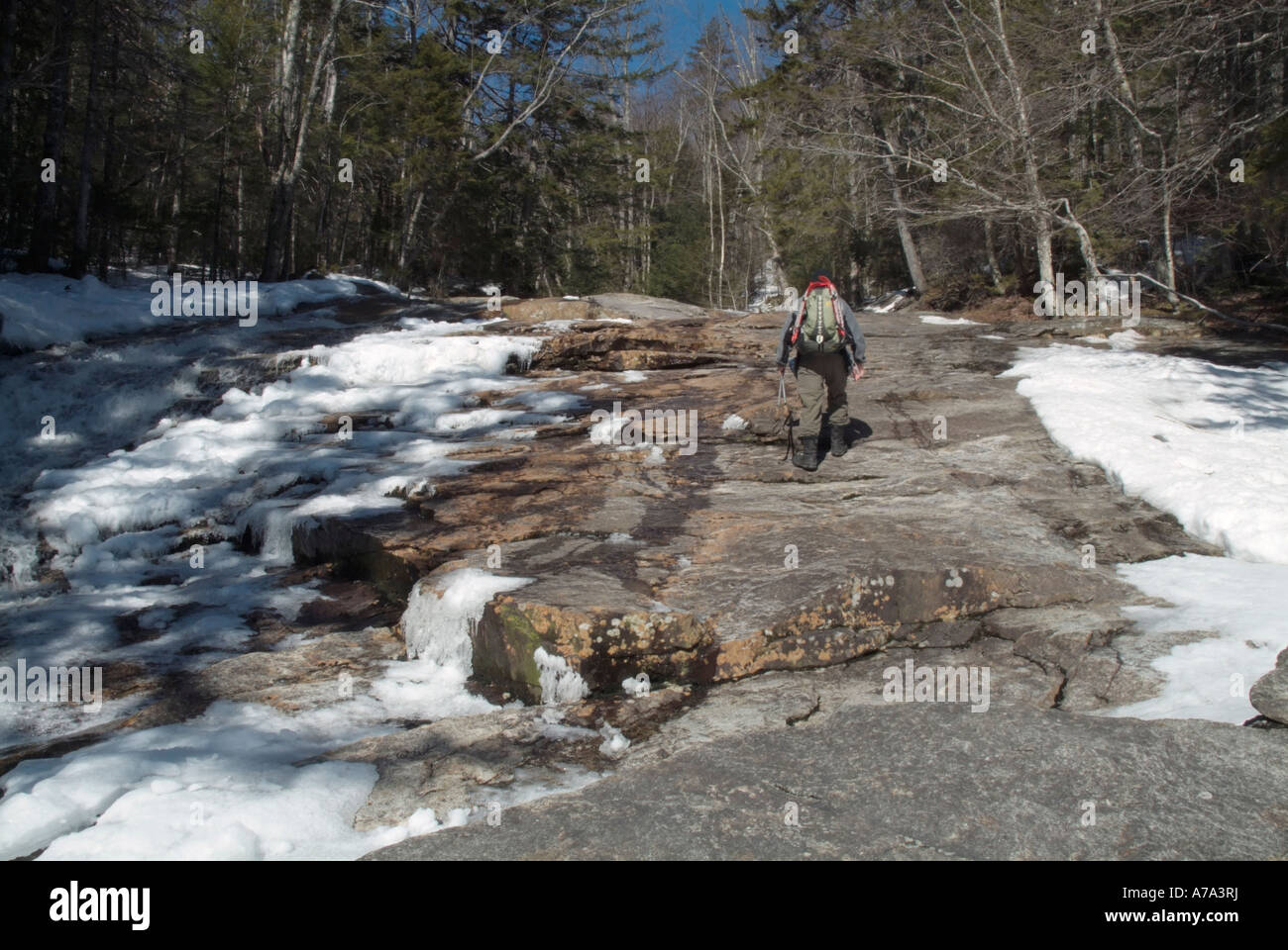 Spring Hiking-Hiker explores Cascade Brook, which runs on side of Basin ...