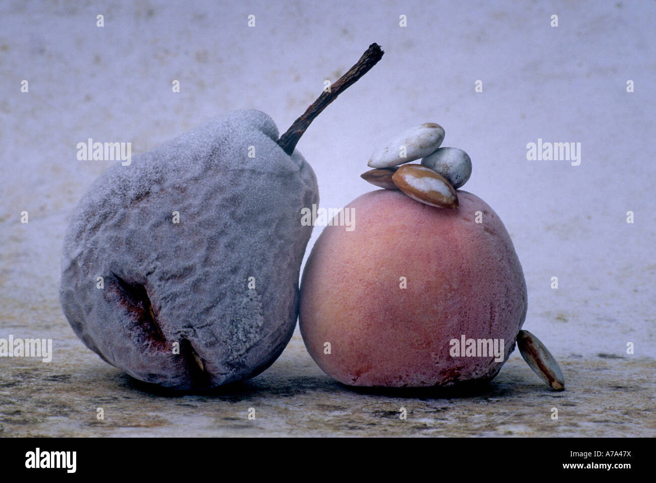 Two fruits are nestled closely together, one pear with an interesting ...