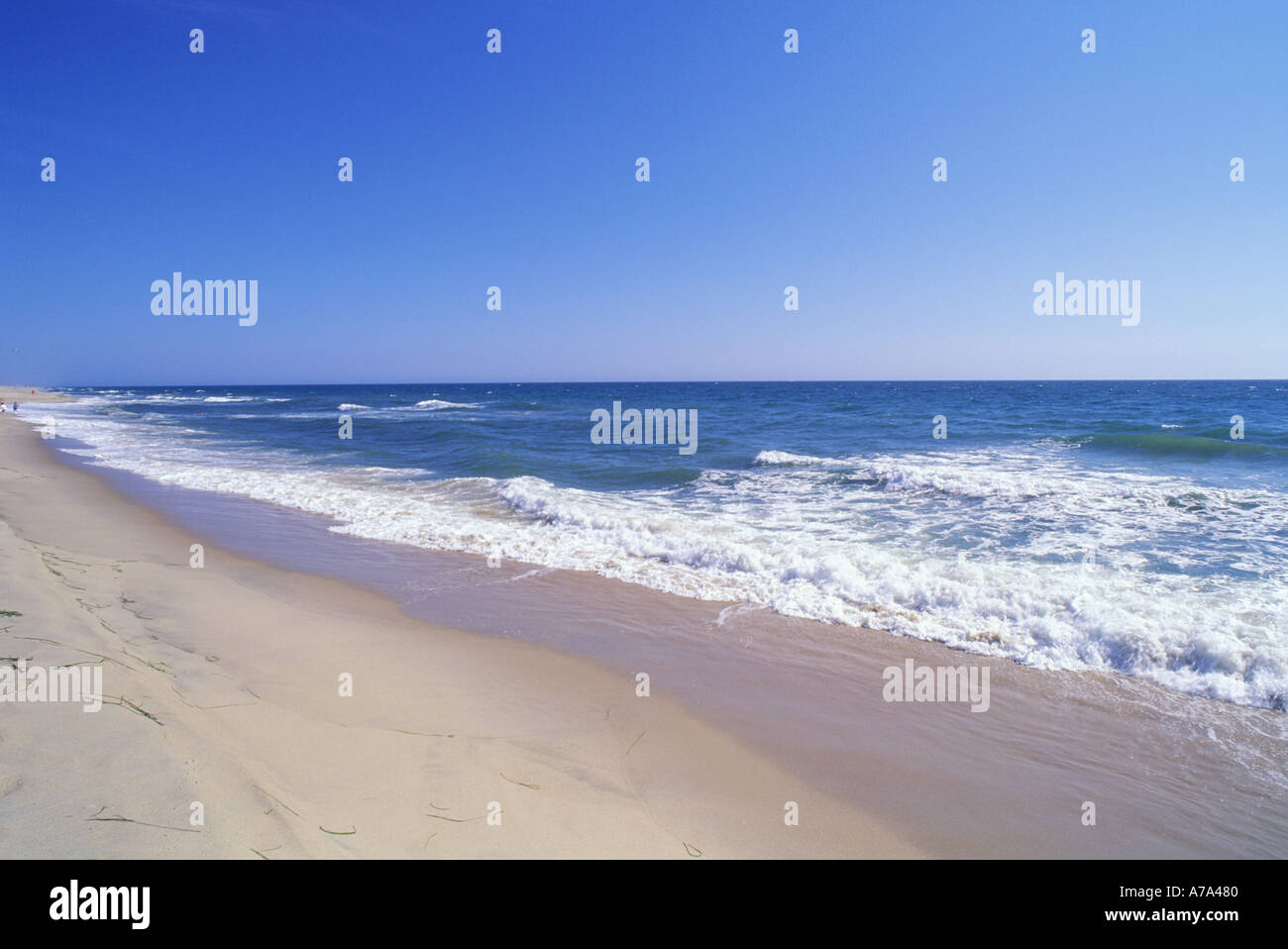 Beach East Hampton Long Island New York Stock Photo - Alamy