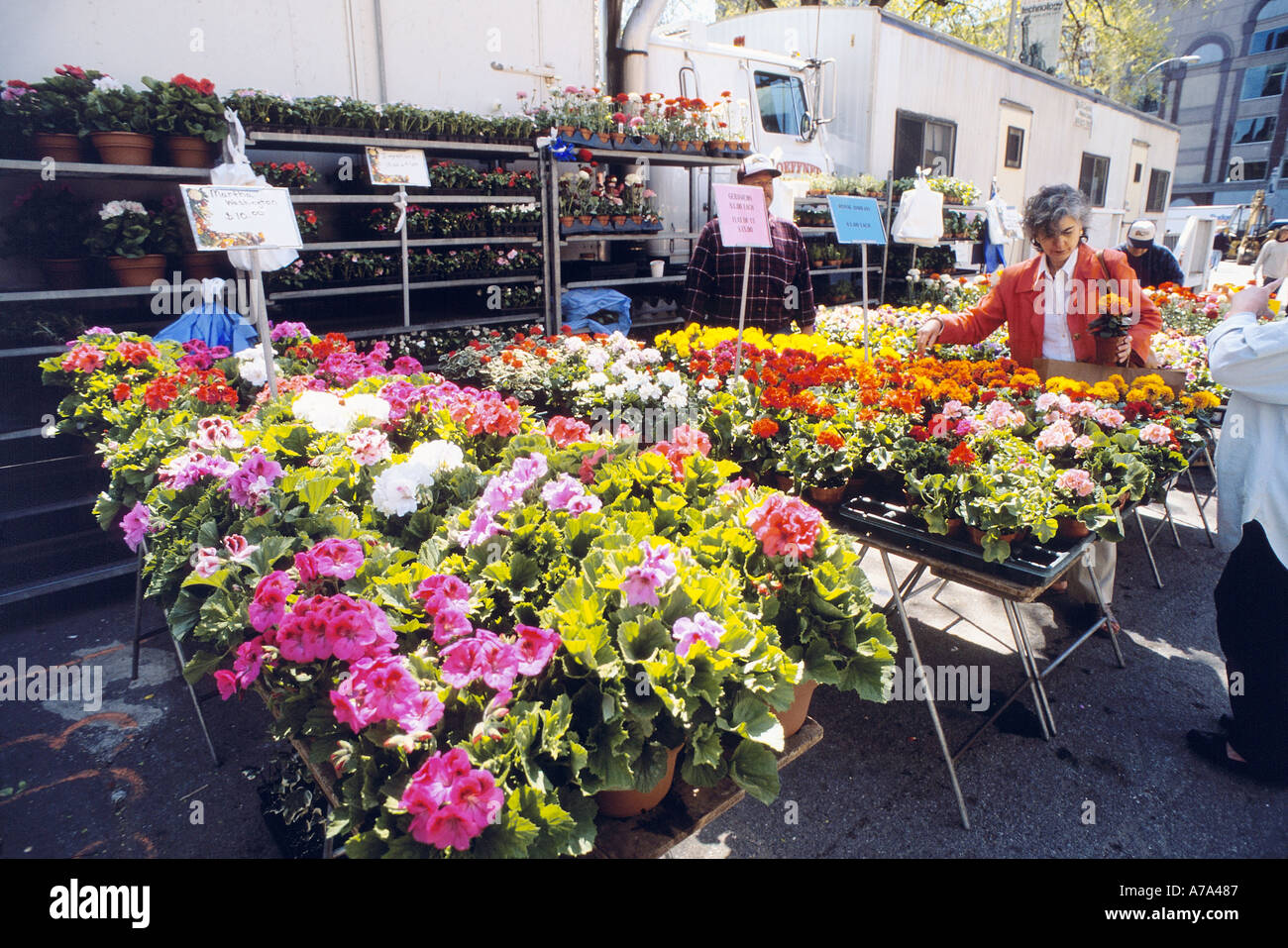 Green Market Union Square Park Manhattan New York Stock Photo - Alamy