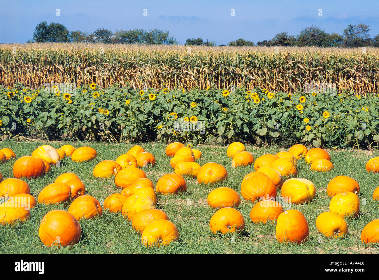 South hampton hi-res stock photography and images - Alamy