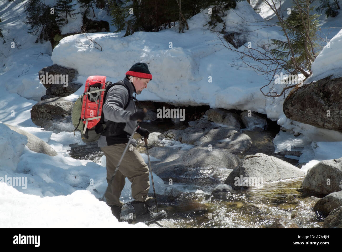 A adult male hiker crosses a brook on Basin Cascade Trail in the White ...