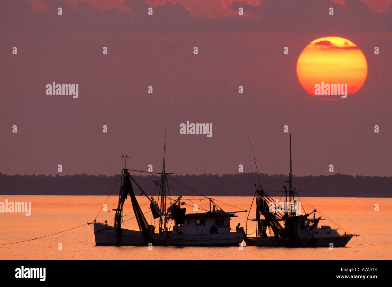 Shipping vessel vessels ship sailer boat boats cruise ships hi-res ...