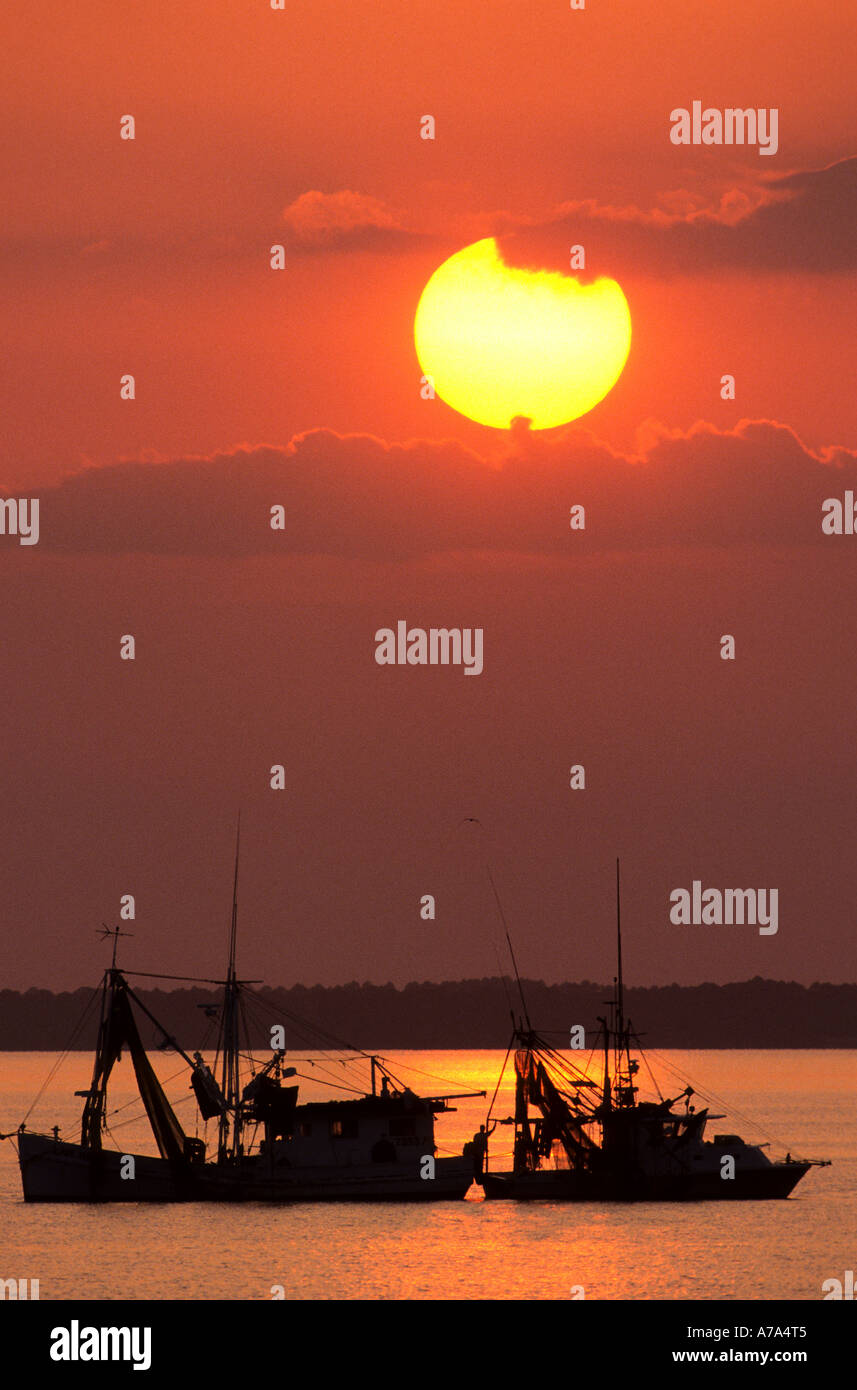 Shipping vessel vessels ship sailer boat boats cruise ships hi-res ...