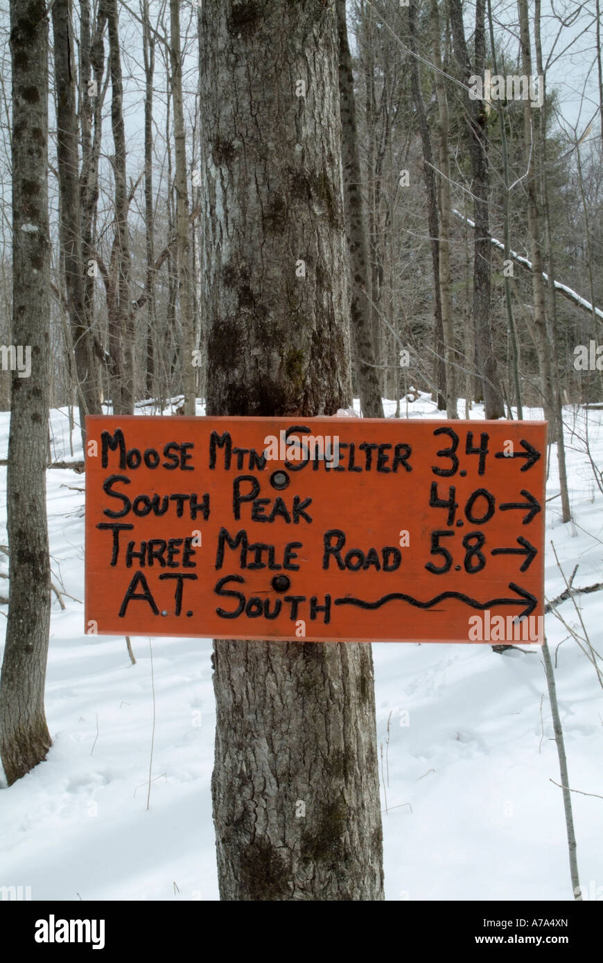 Appalachian Trail-Moose Mountain Trail- in New Hampshire USA Stock ...