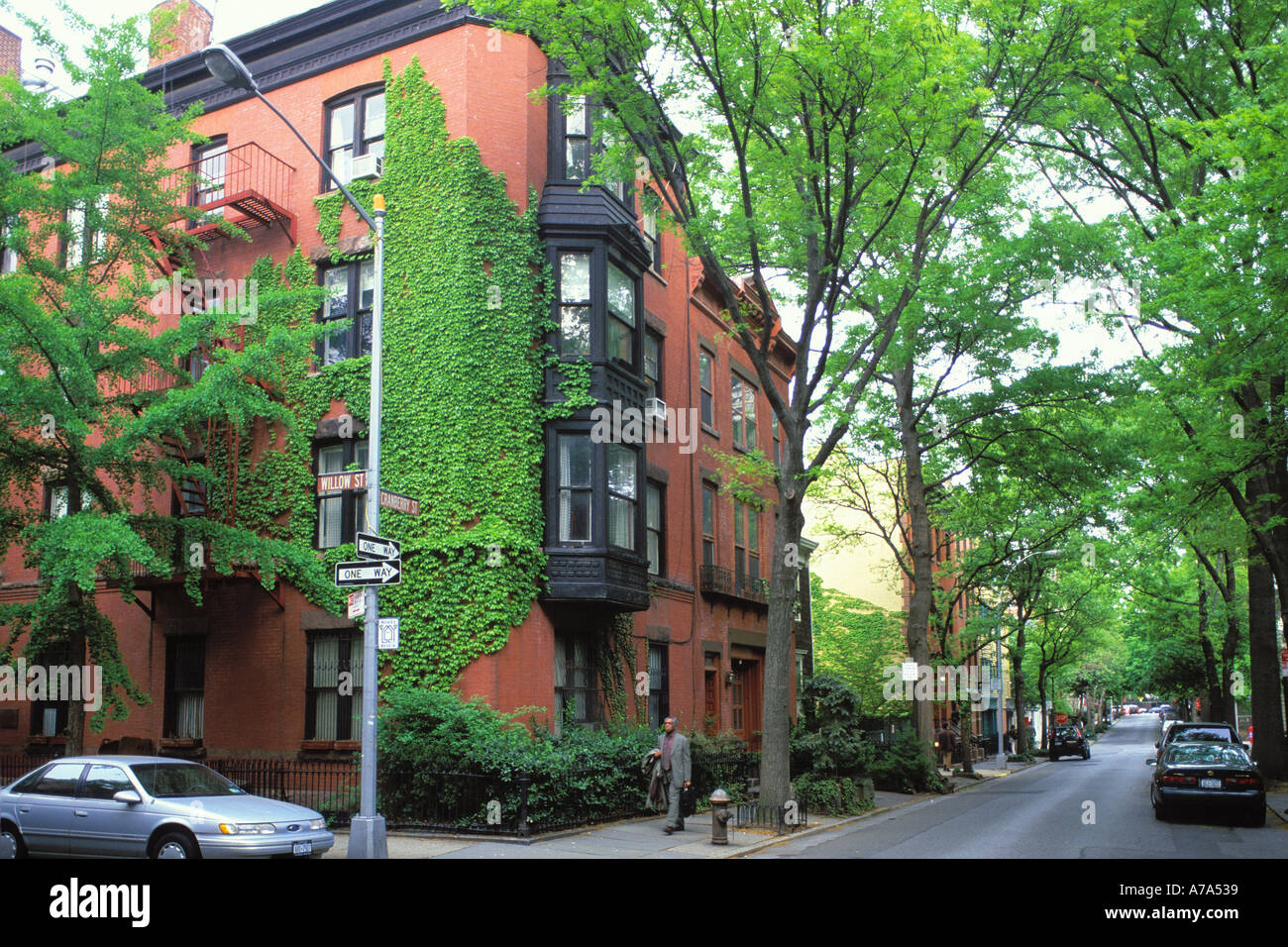 Willow Street Brooklyn Heights Brooklyn New York Stock Photo - Alamy