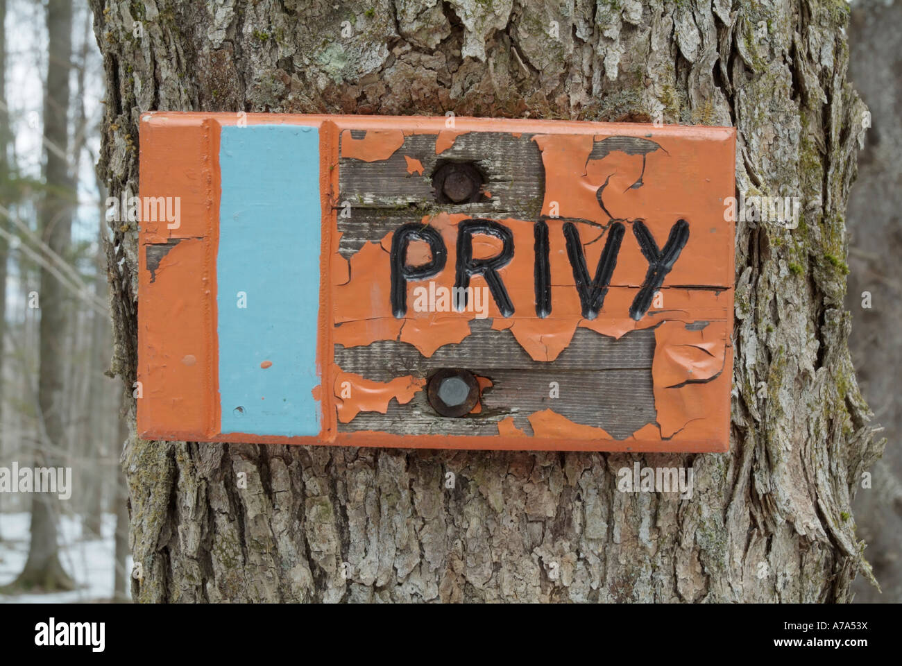 Appalachian Trail-Privy at Trapper John Shelter in New Hampshire USA ...