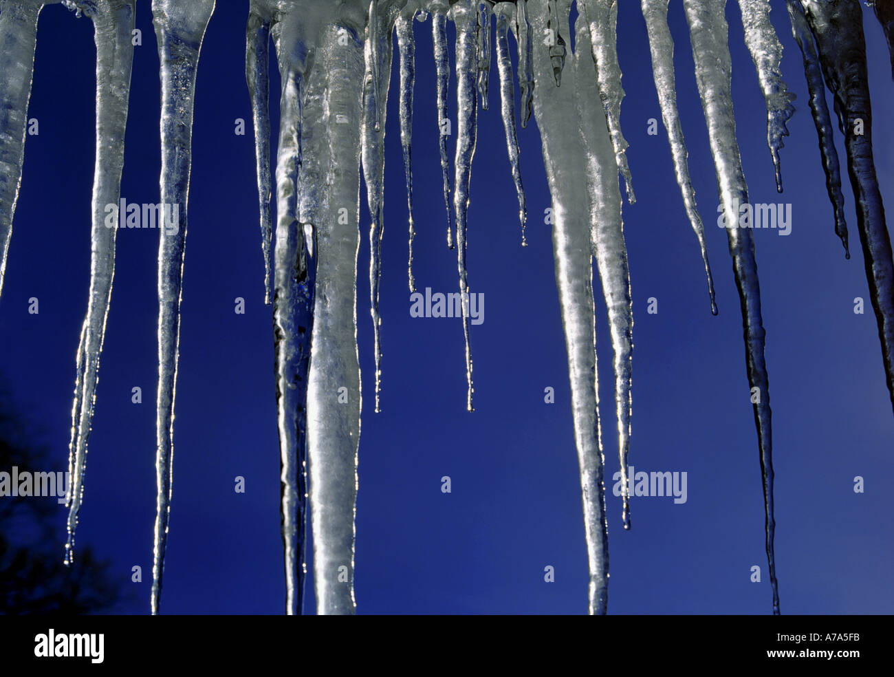 Icle hi-res stock photography and images - Alamy