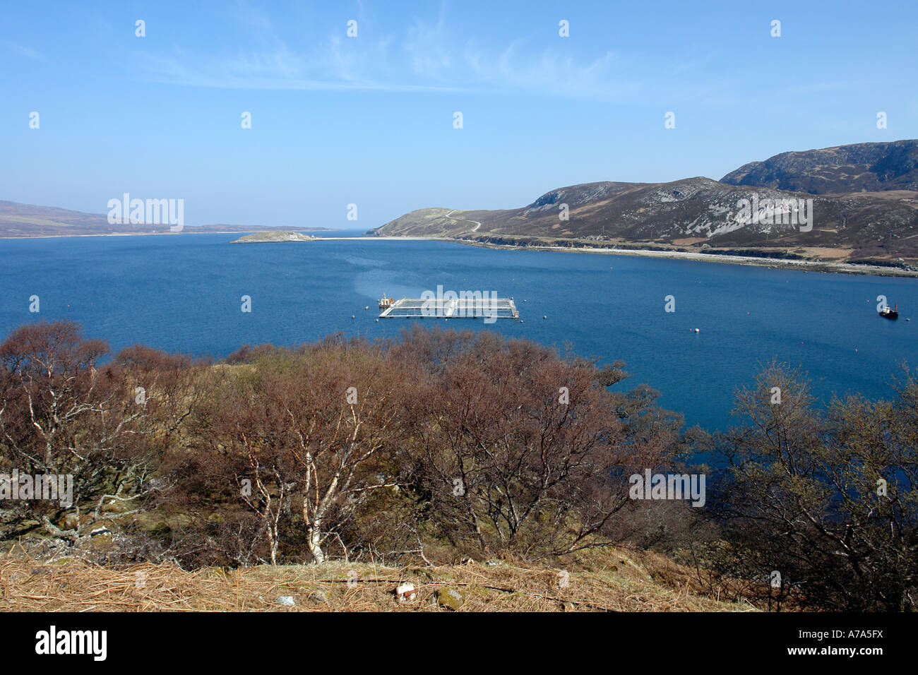 Fish boat sutherland scotland hi-res stock photography and images - Alamy
