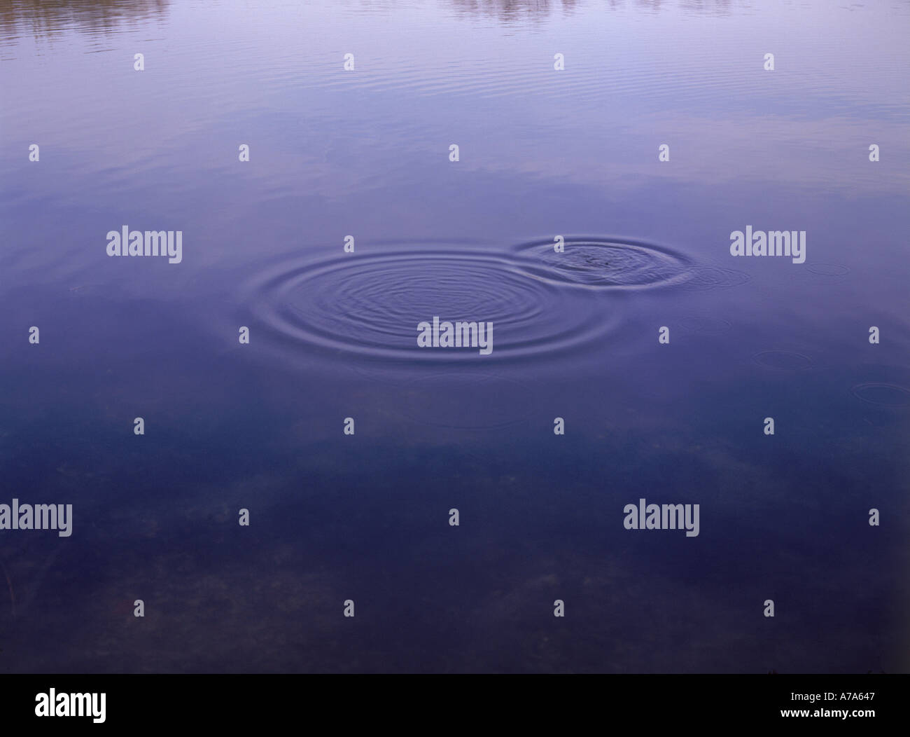 rippled water after splashing stones Stock Photo - Alamy