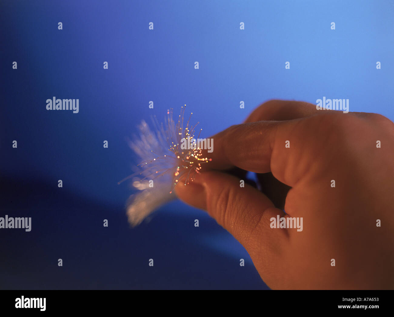 Data tec hi-res stock photography and images - Alamy