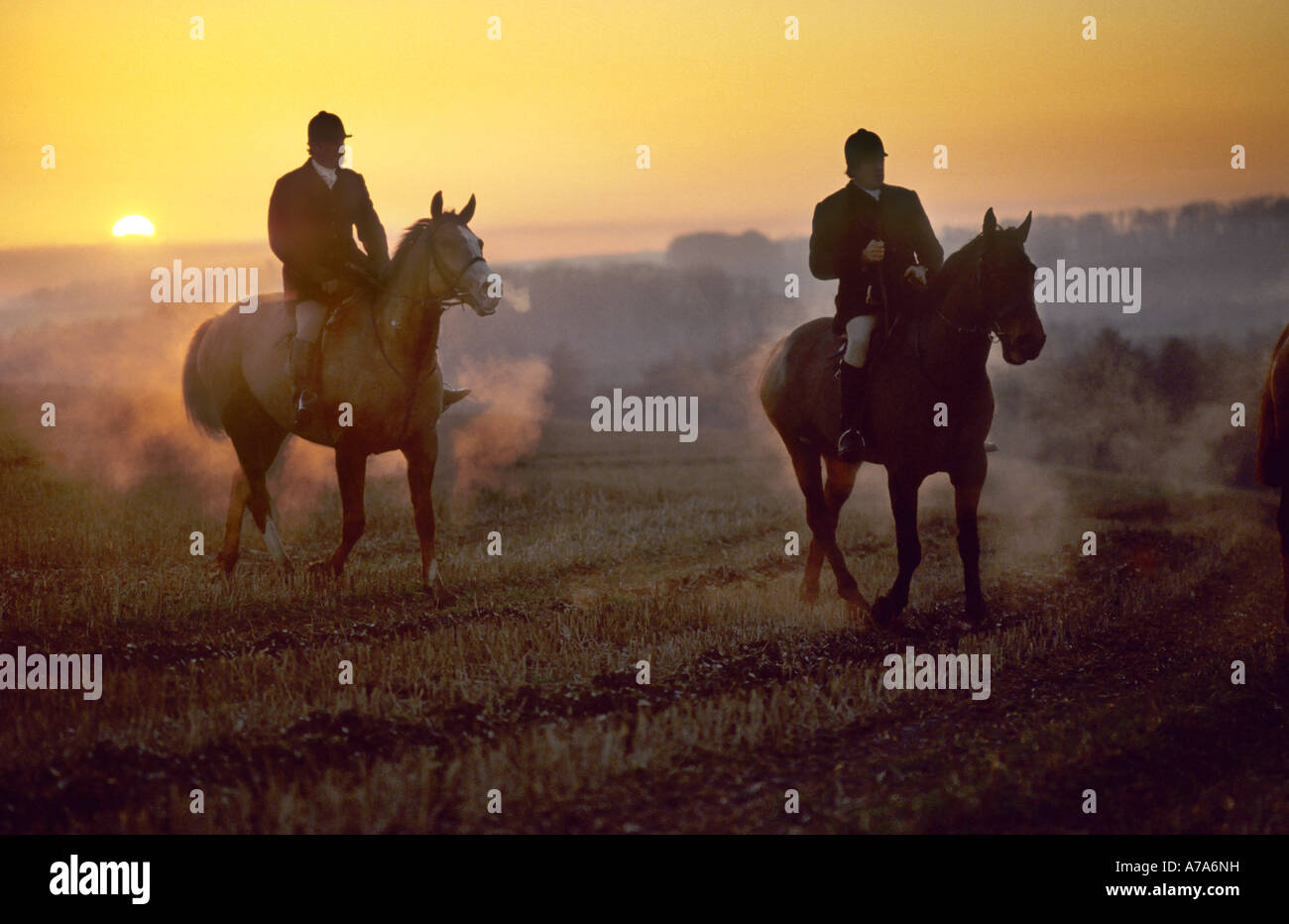 Members of the Holderness Hunt returning from a days hunting East ...