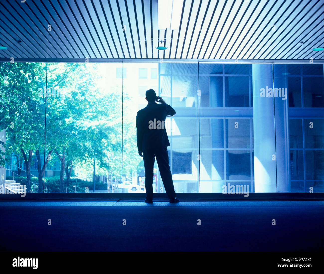 business man negotiating on phone with back turned, silhouette Stock ...