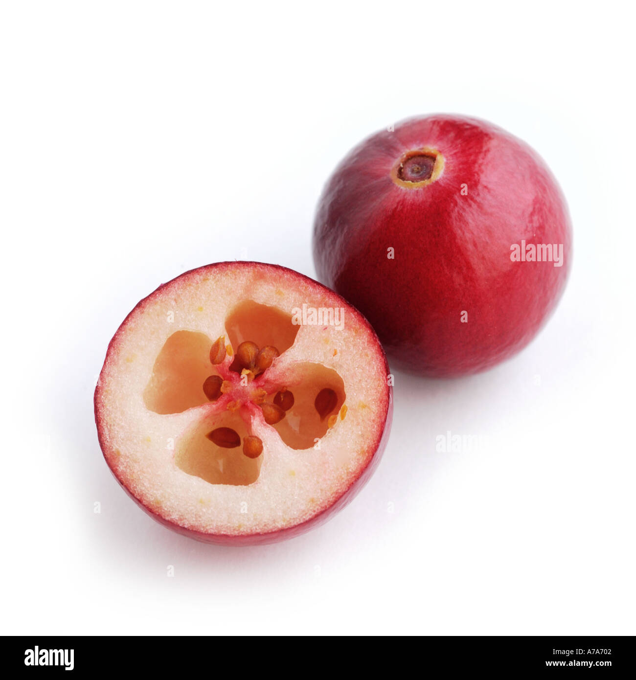 cranberry close up Stock Photo - Alamy