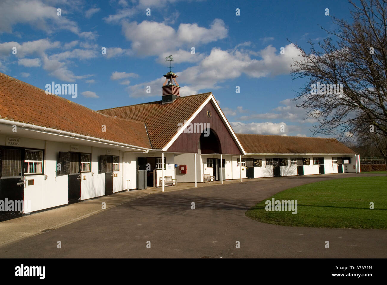 The National Stud at New Market Suffolk the stables of the breeding ...