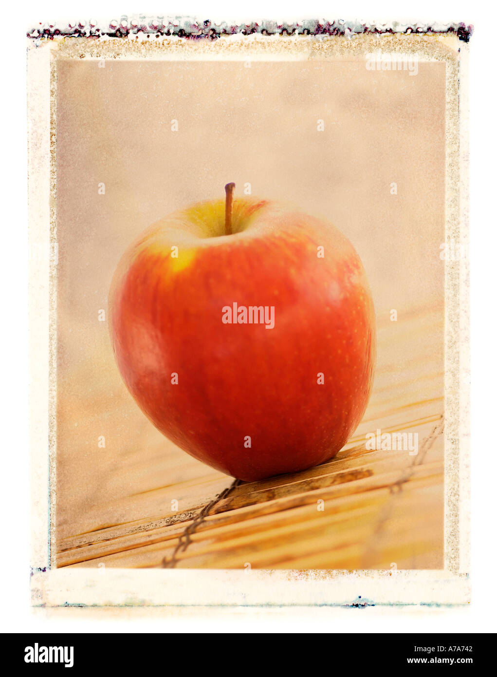 Old classic photographic process Cut Out Stock Images & Pictures - Alamy