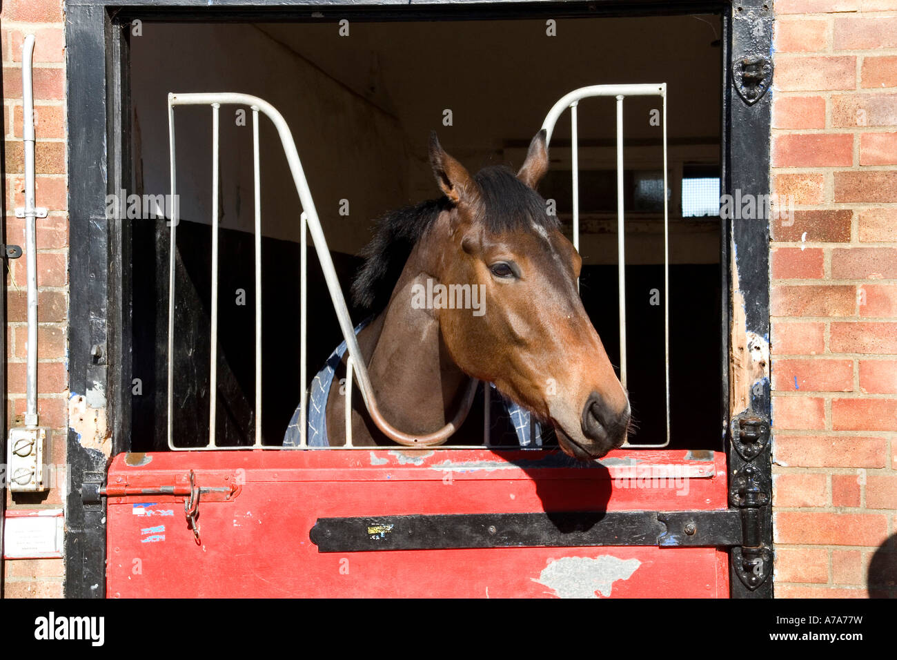 New stable hi-res stock photography and images - Alamy