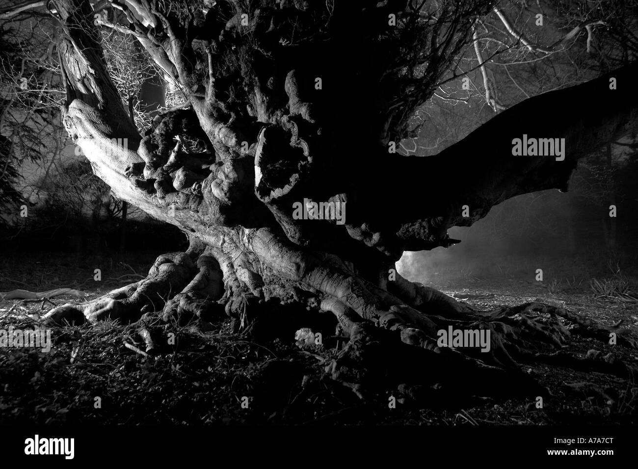 North witch Black and White Stock Photos & Images - Alamy