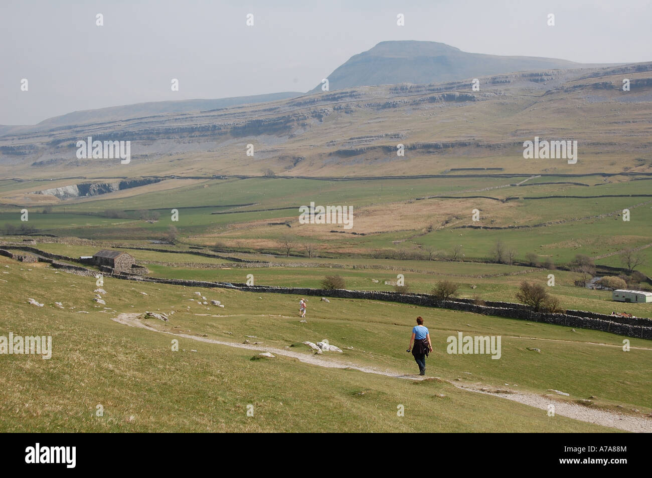 Lone rambler on the Ingleton Waterfalls Trail overlooking Ingleborough ...