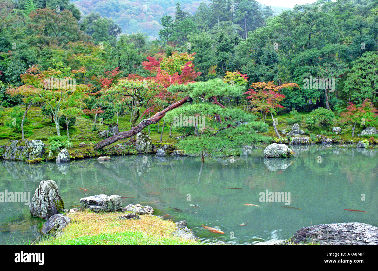 Pool in Tenryuji Temple Garden Stock Photo - Alamy