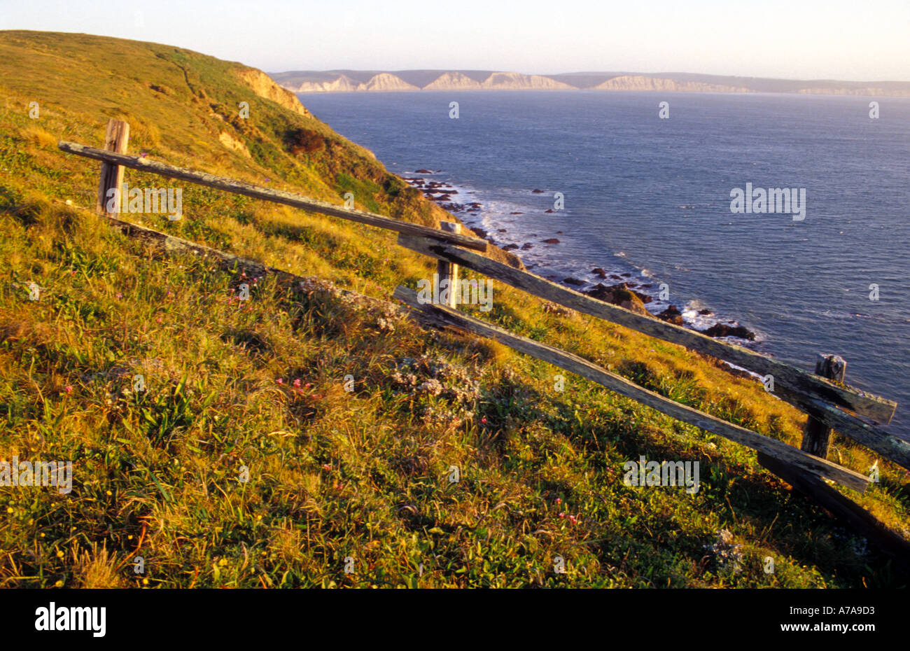 Drakes Bay Stock Photos & Drakes Bay Stock Images - Alamy