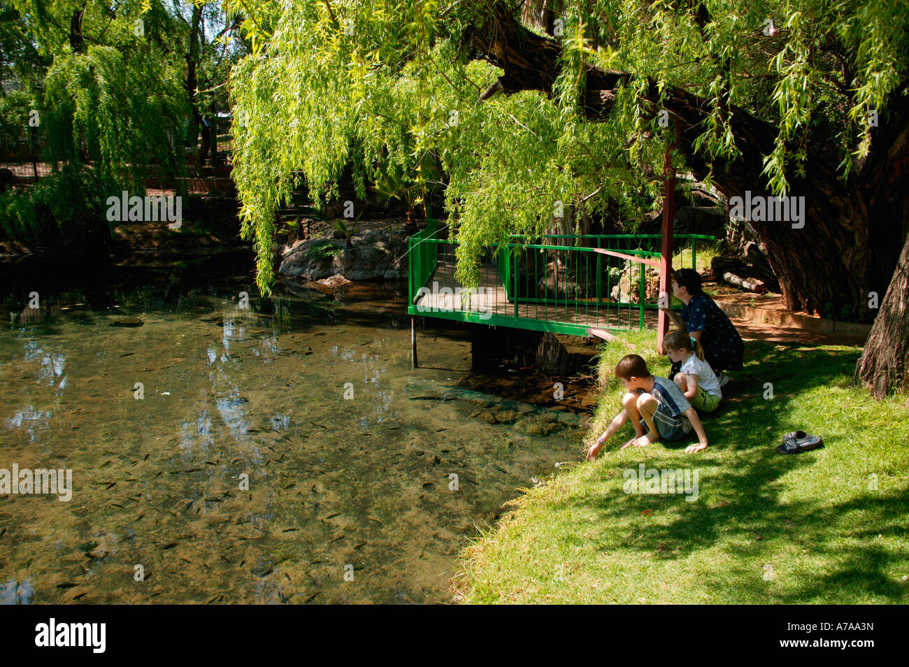 A family on the shady banks of the of the eye Die oog a freshwater pool ...