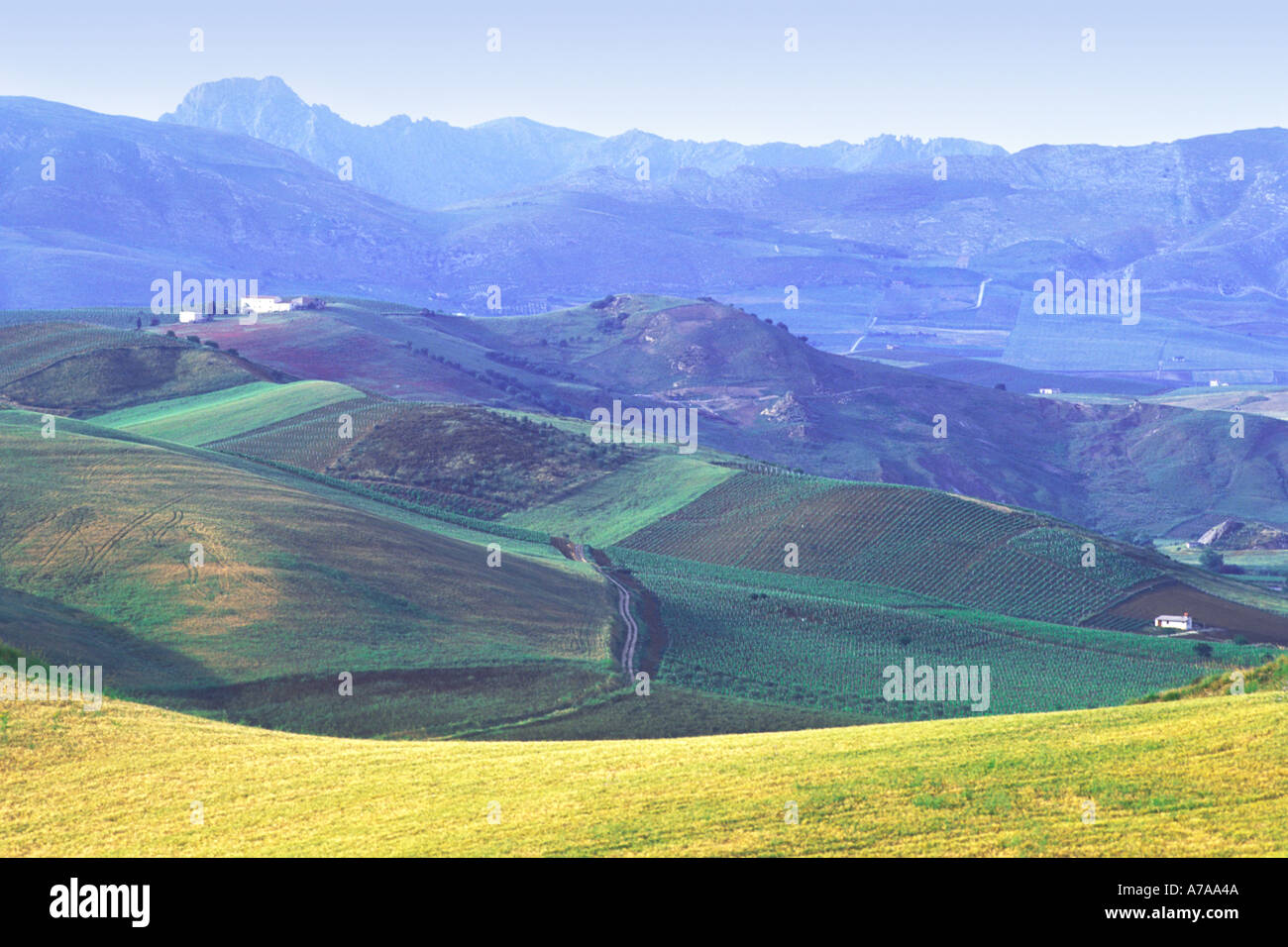 ITALY SICILY SICILIAN LANDSCAPE Stock Photo - Alamy