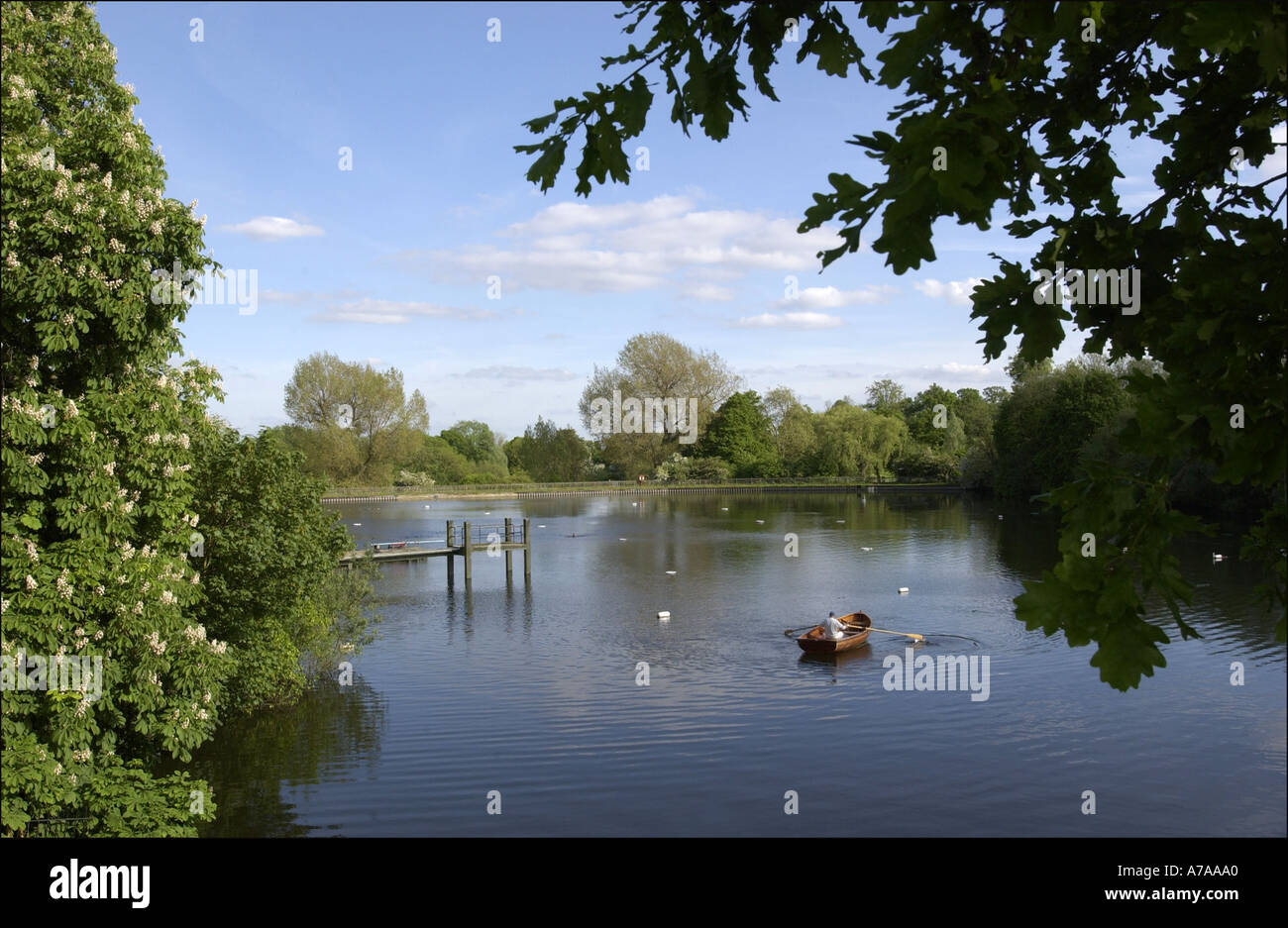 Swimming Ponds on Hampstead Heath London Stock Photo - Alamy