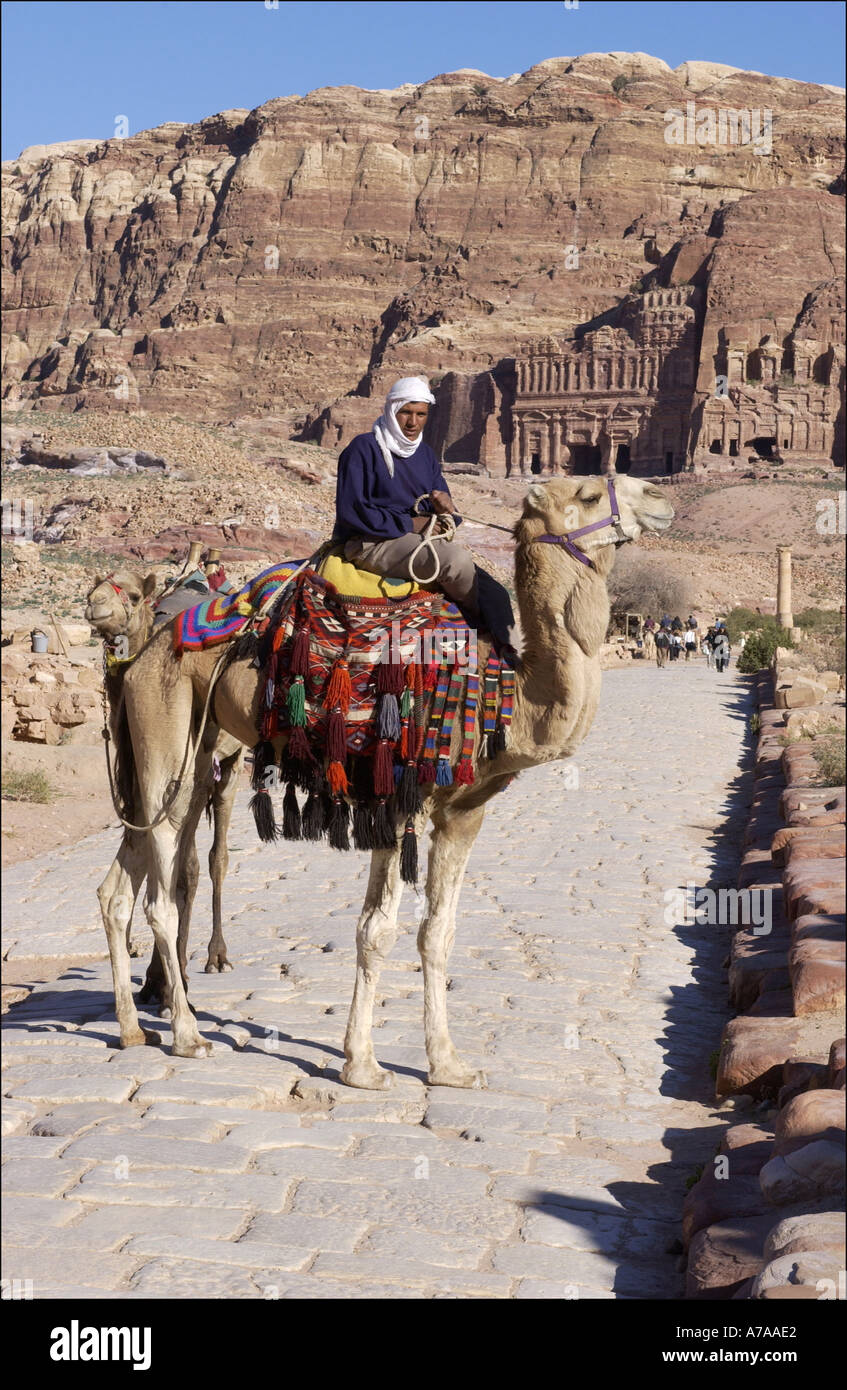 Camel with scene of Palace Tomb, Petra Jordan Stock Photo - Alamy