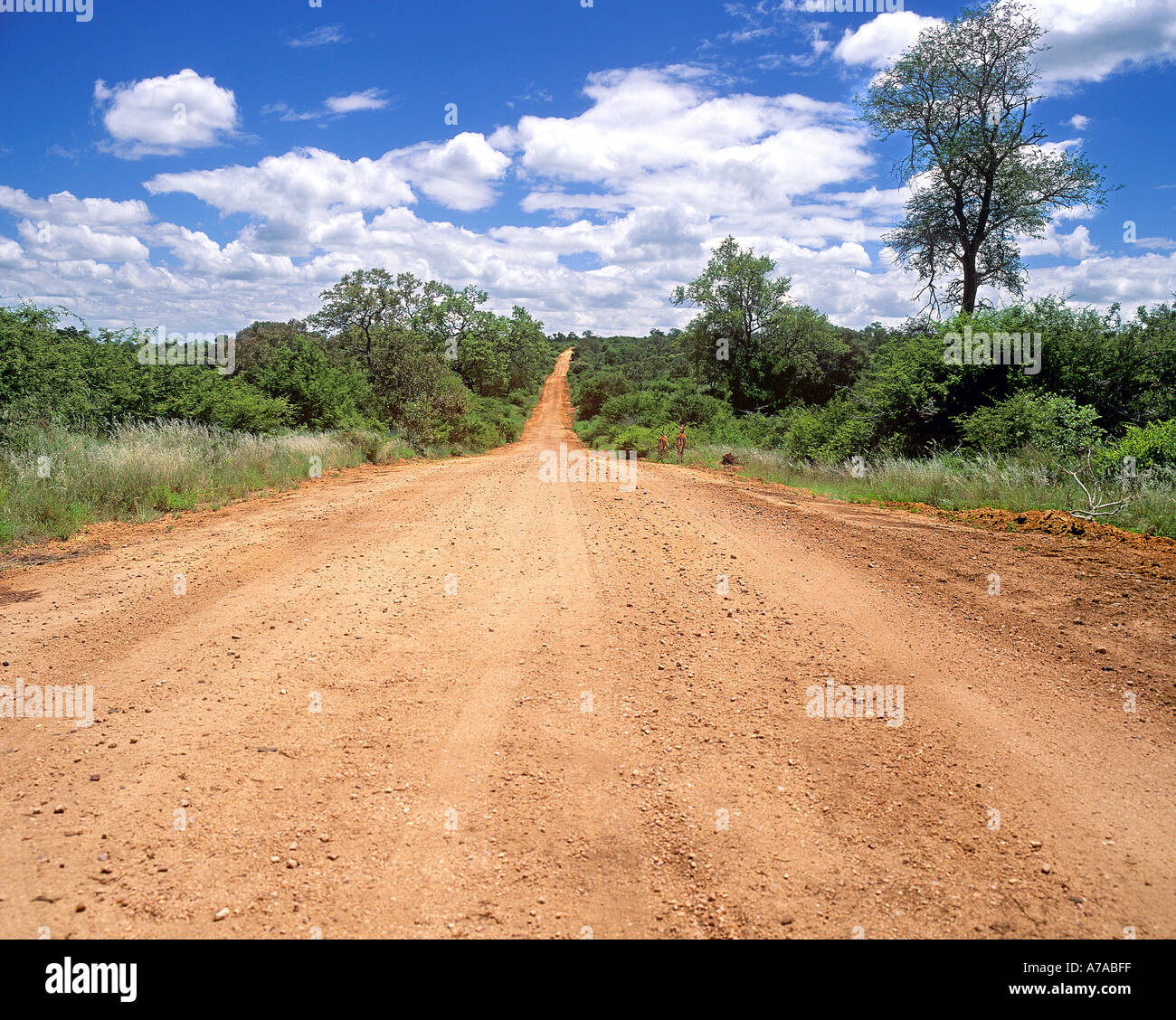 South africas road hi-res stock photography and images - Alamy