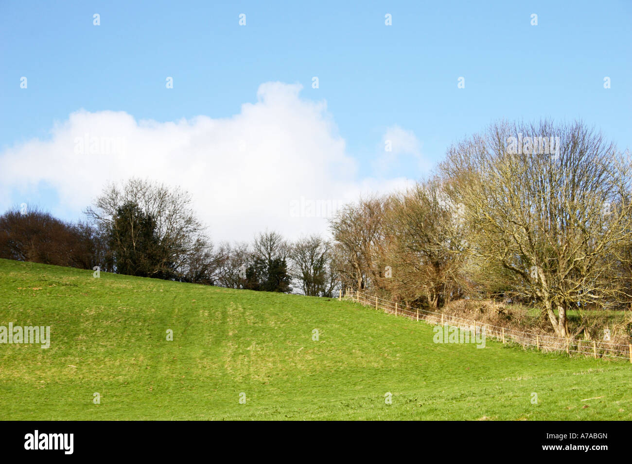 A picturesque green field in Dorset, England Stock Photo - Alamy