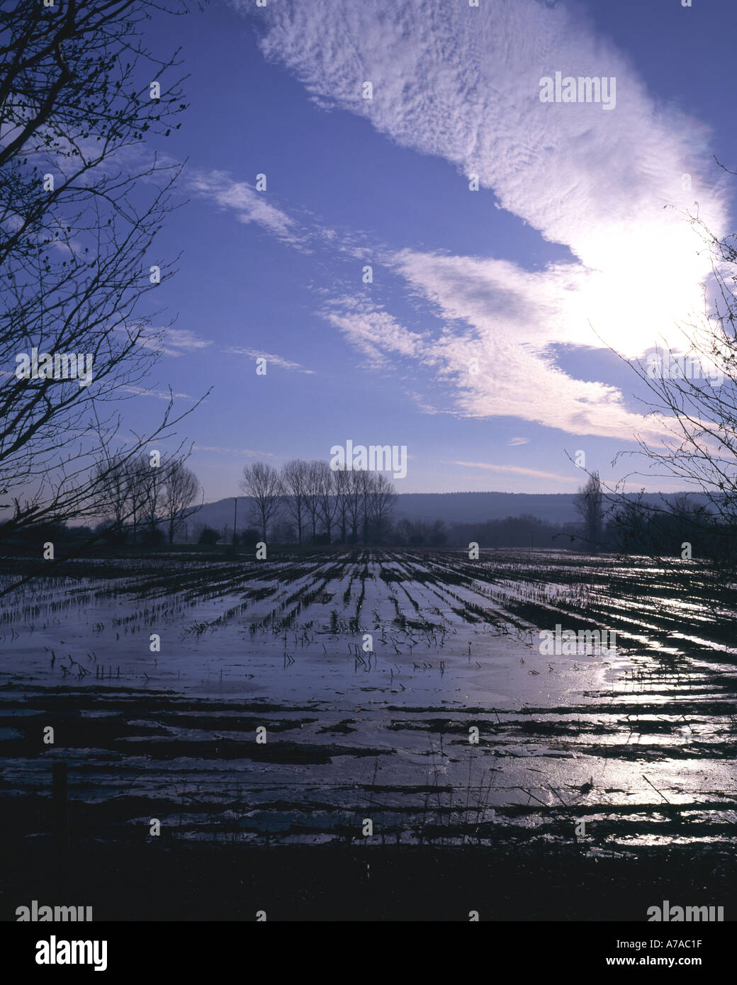 Frozen flooded wheat field in winter Wiltshire England UK Stock Photo ...