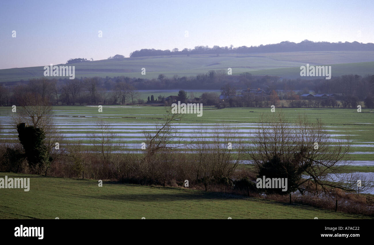 Winter flooded pasture Wiltshire England UK Stock Photo - Alamy