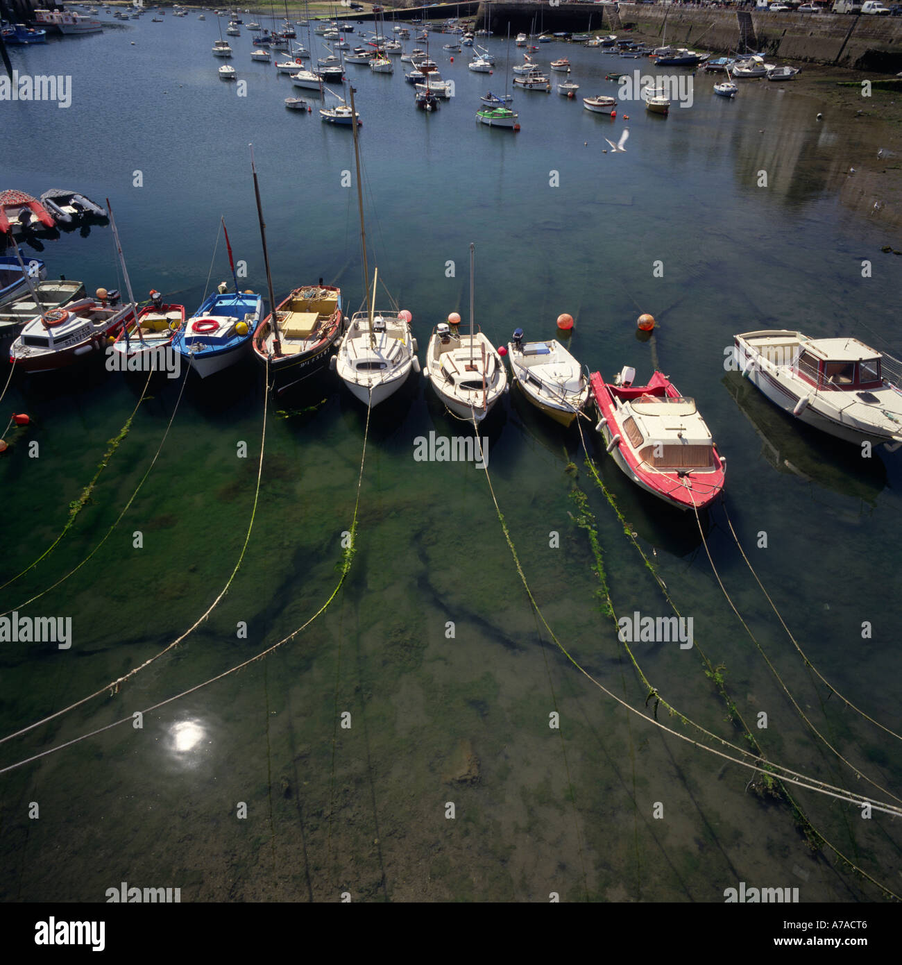 Boats in harbour / Douarnenez Stock Photo - Alamy