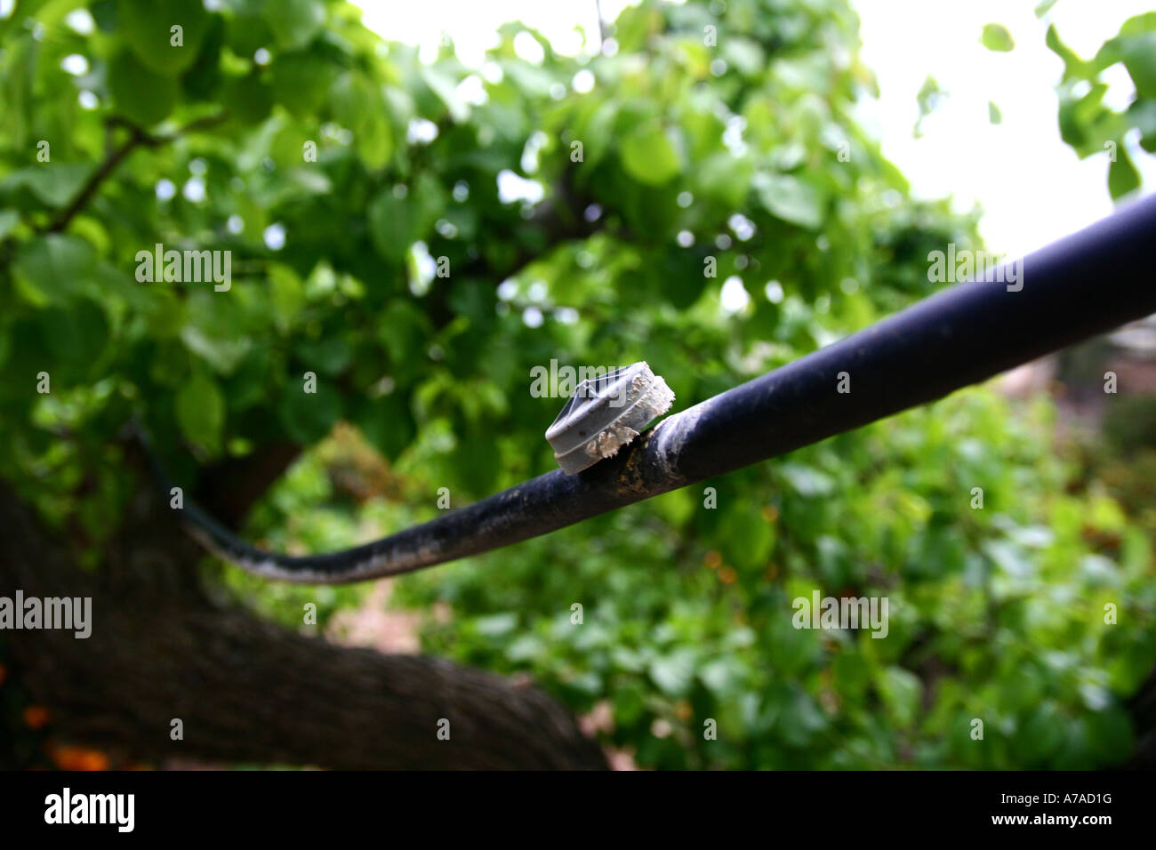 Trickle drip irrigation hi-res stock photography and images - Alamy