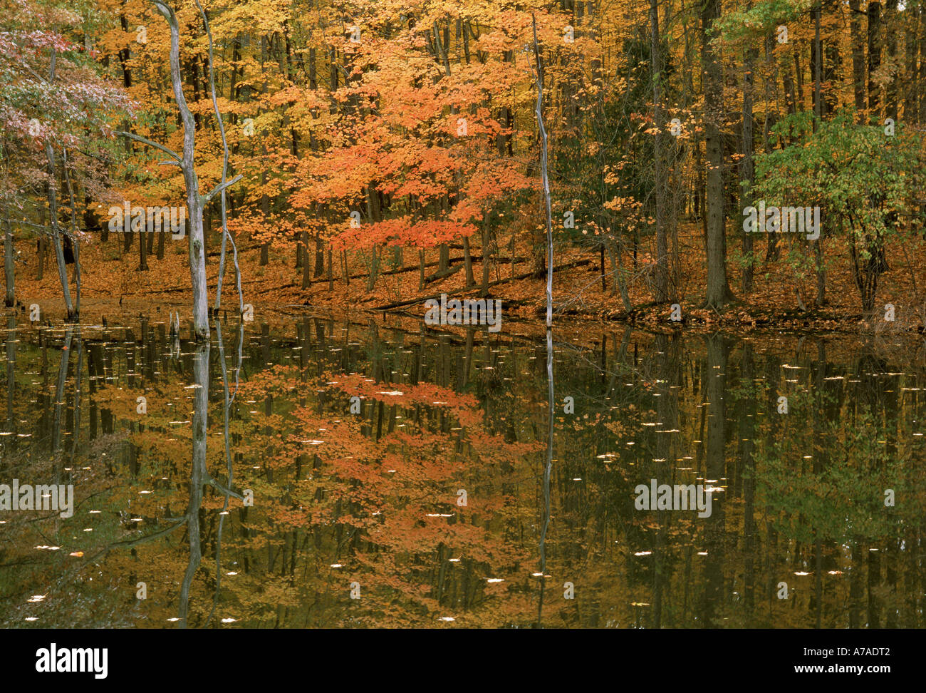 Autumn Pond in Ohio Stock Photo - Alamy