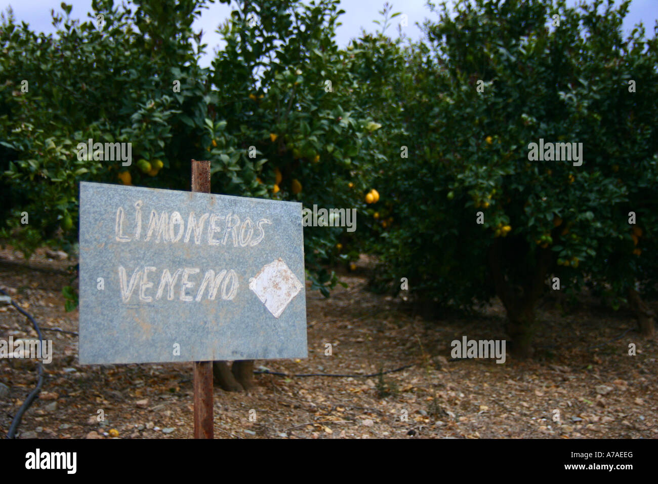 Warning sign alerting about the presence of poisonous substances in a ...