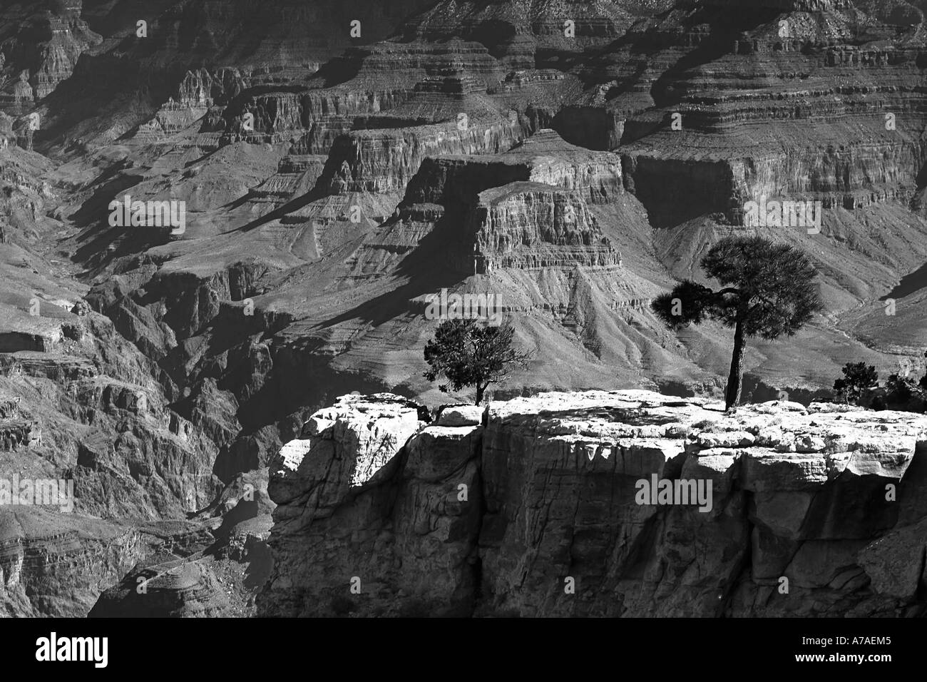 Bright Angel Overlook, Grand Canyon, Arizona Stock Photo - Alamy