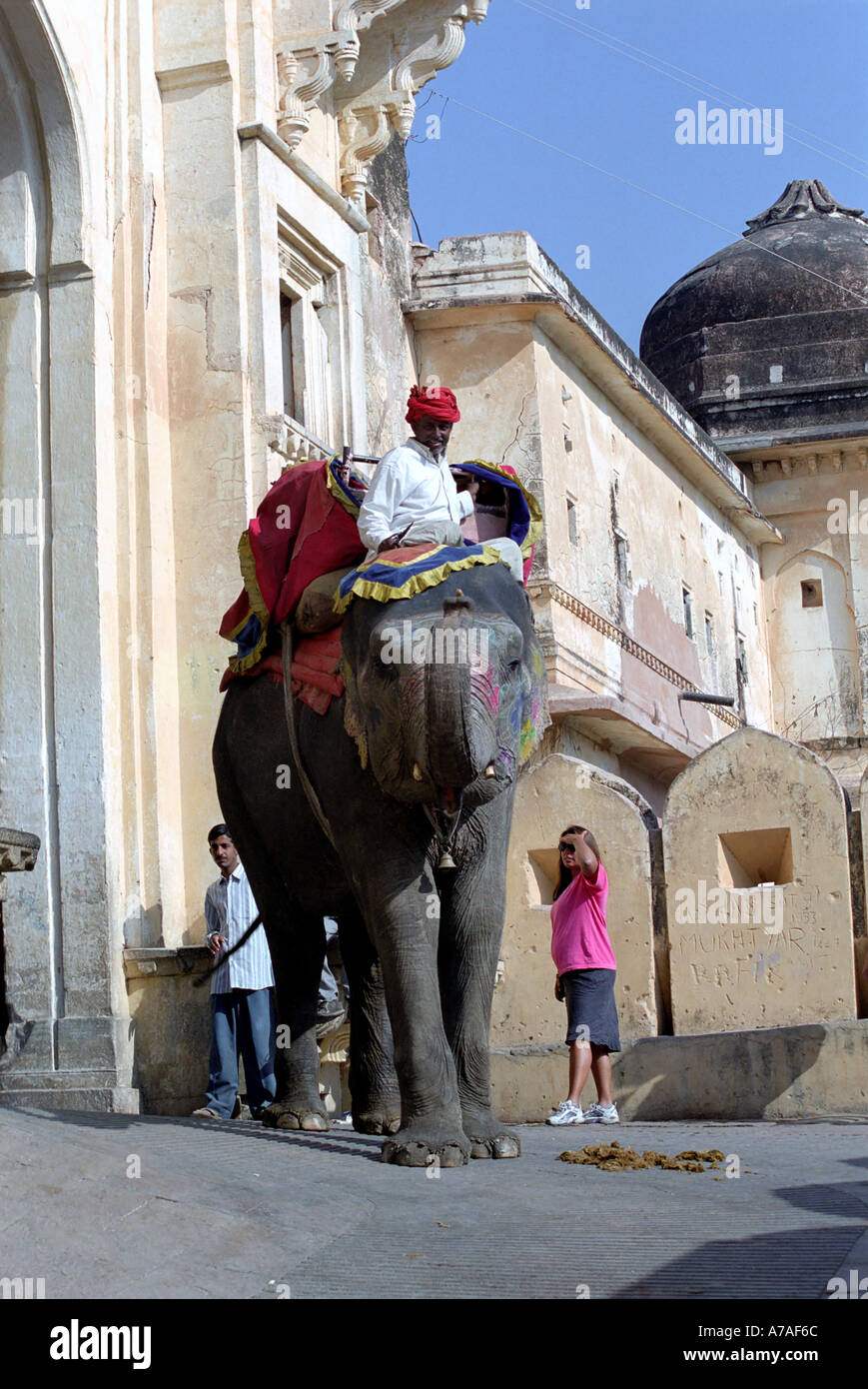 Elephant Amber Palace Jaipur India Stock Photo - Alamy