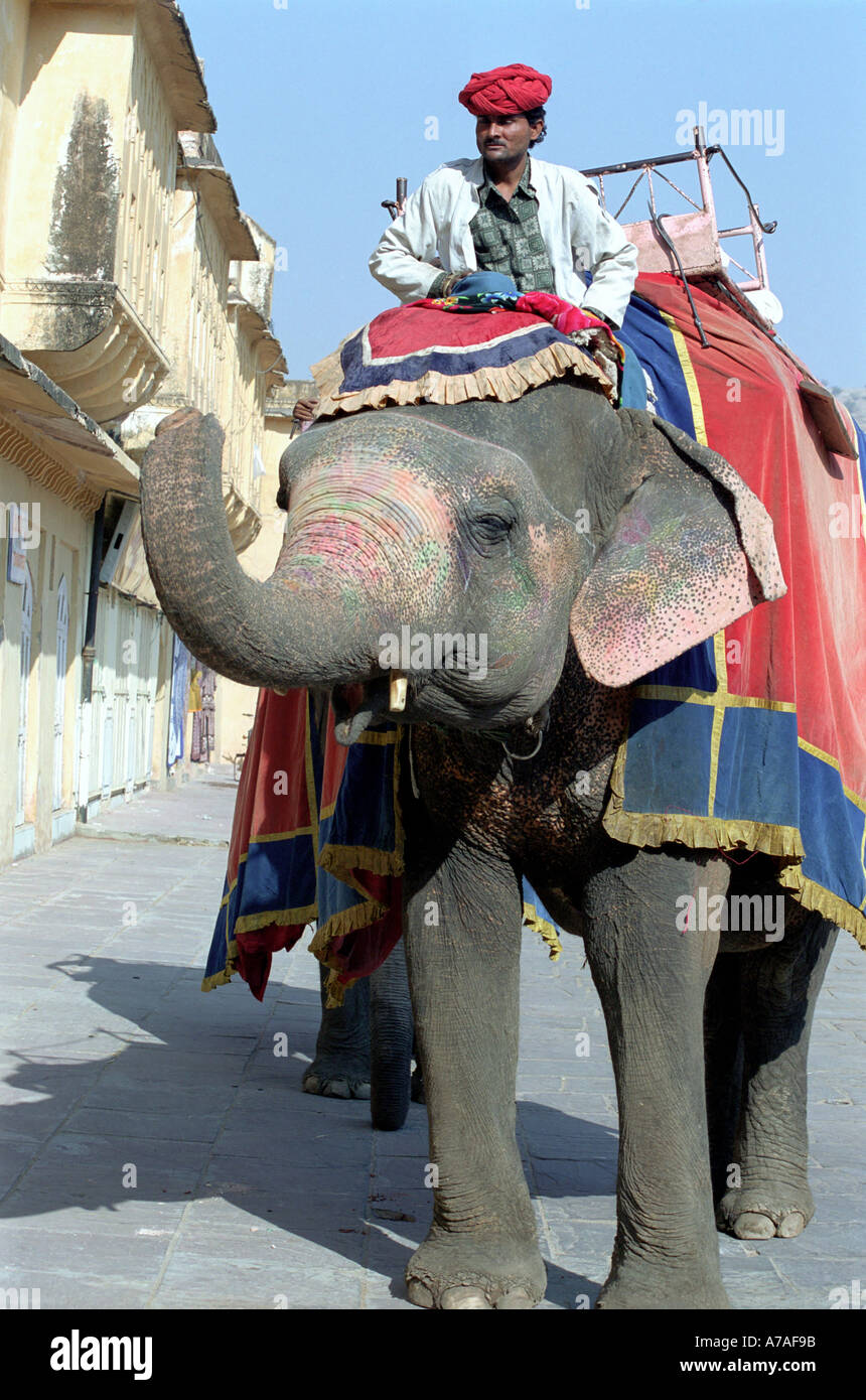 Elephant Amber Fort Jaipur India Stock Photo - Alamy