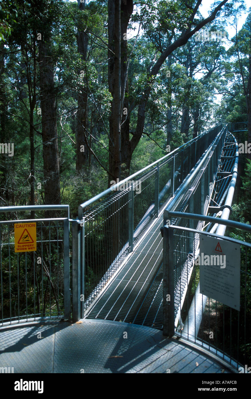 VALLEY OF THE GIANTS WALKWAY TREE TOP WALK WALPOLE WESTERN AUSTRALIA ...