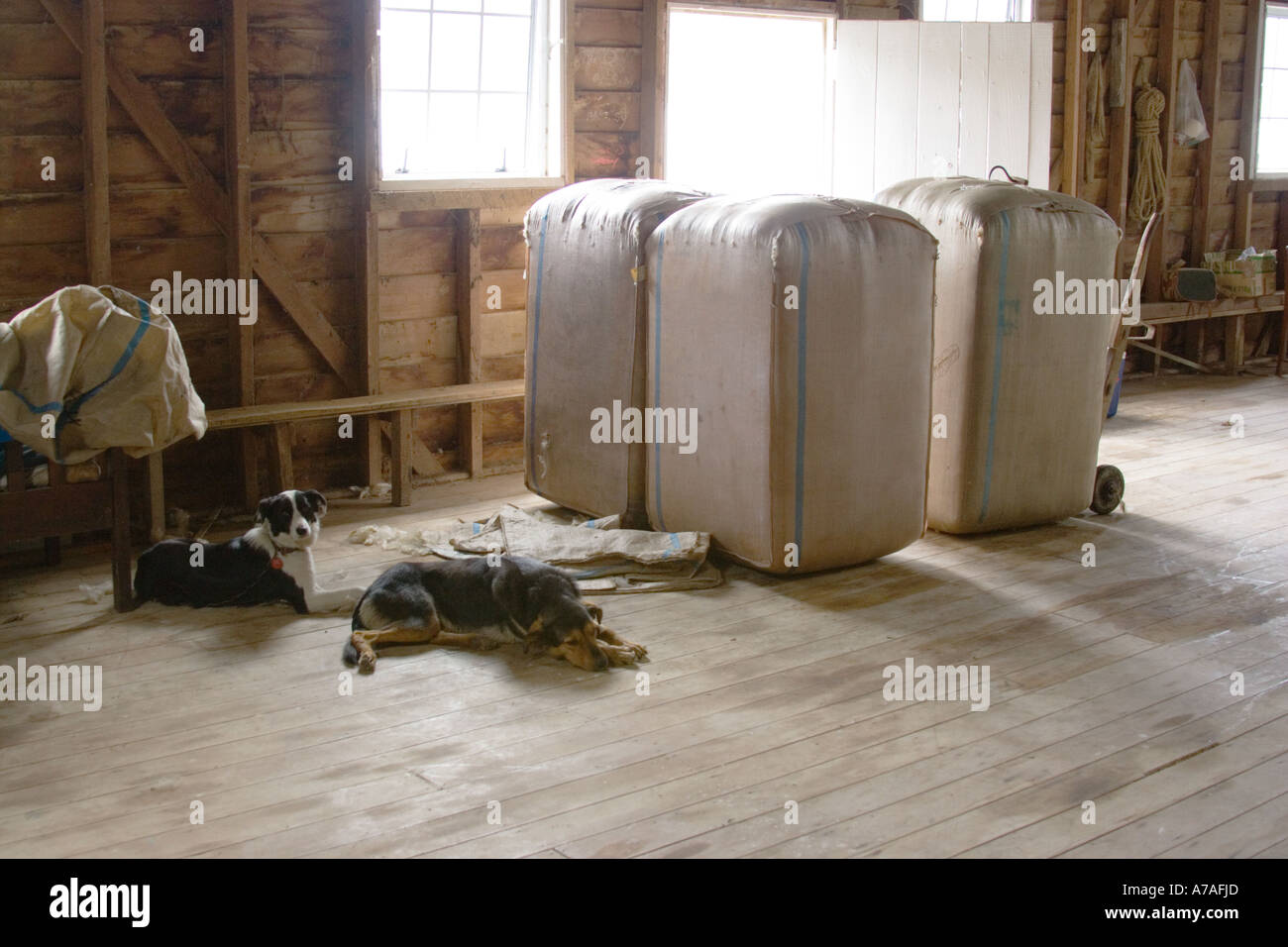 Wool Bales High Resolution Stock Photography and Images - Alamy