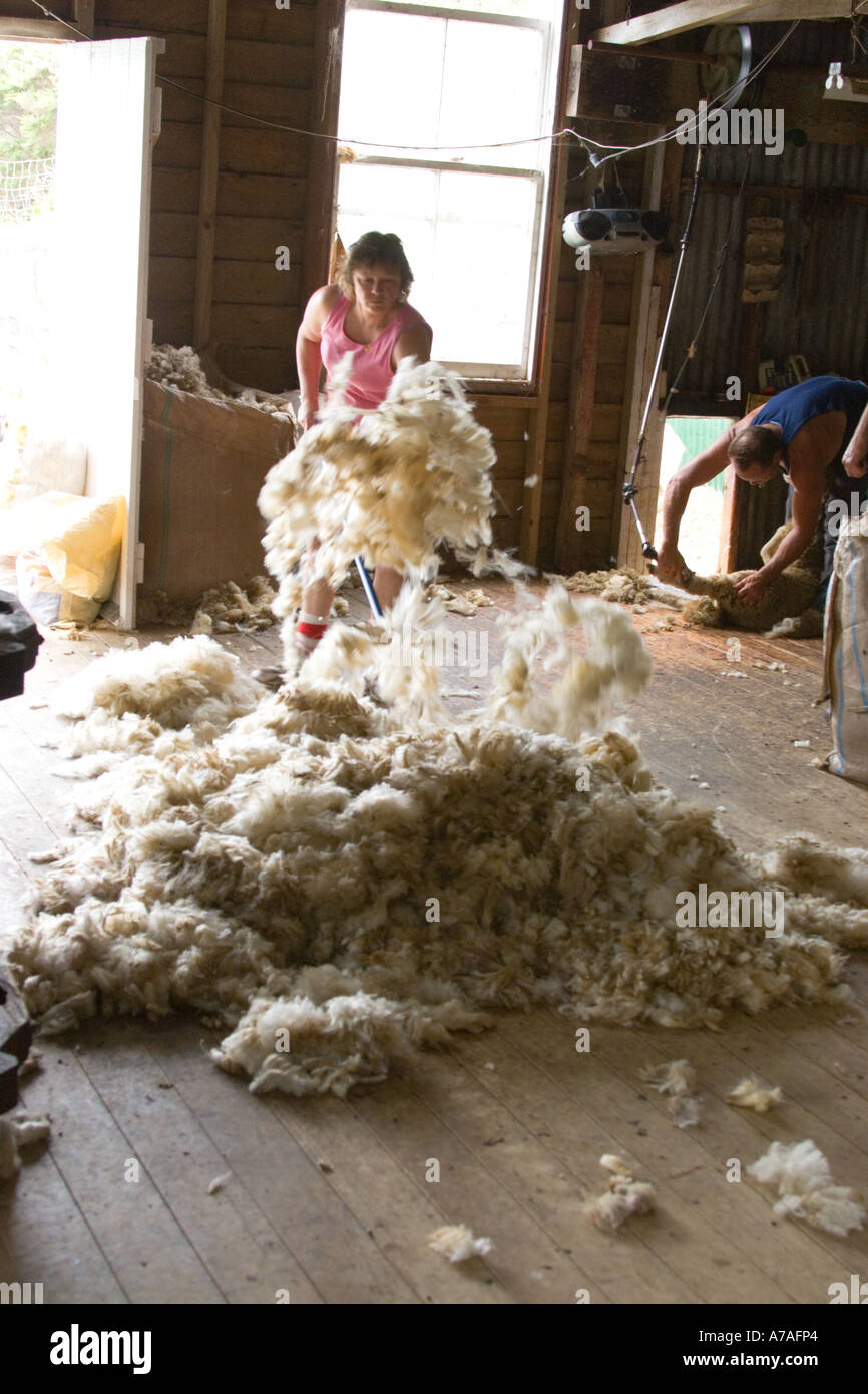 Stained tick hi-res stock photography and images - Alamy