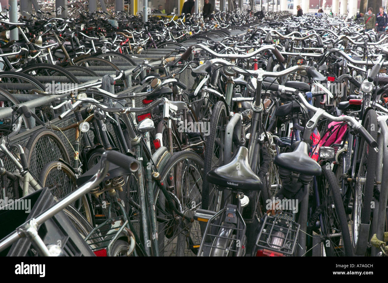 Hundreds of bikes parked in a multi storey bike park by the central ...