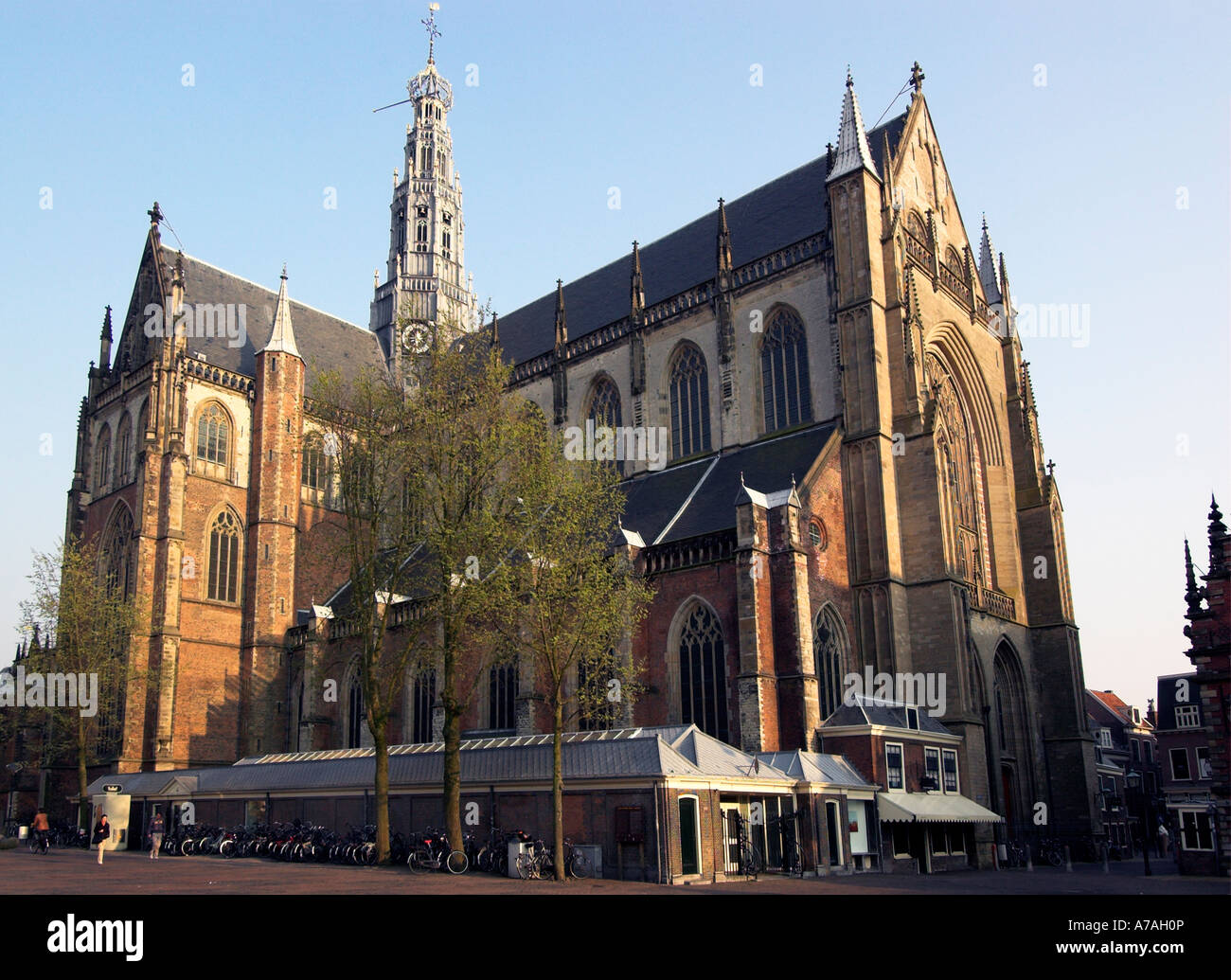 St bavo hi-res stock photography and images - Alamy