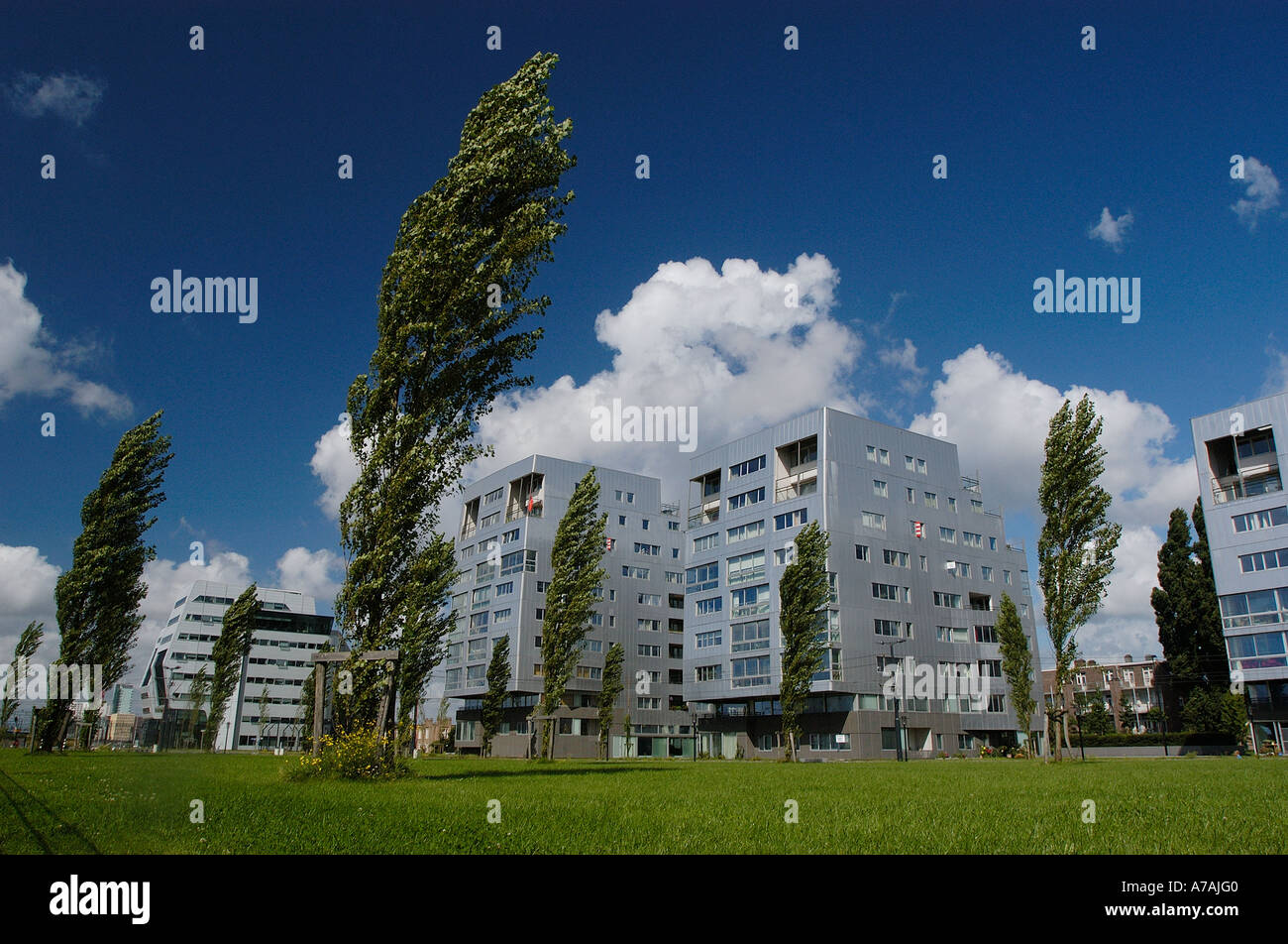 New houses in eastern Amsterdam close to the KNSM island Stock Photo ...
